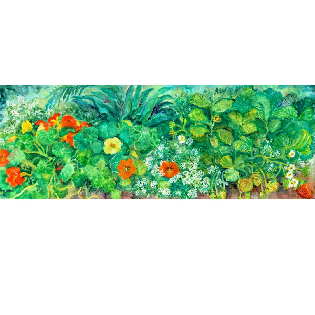 Collections - Meet Gather Collect