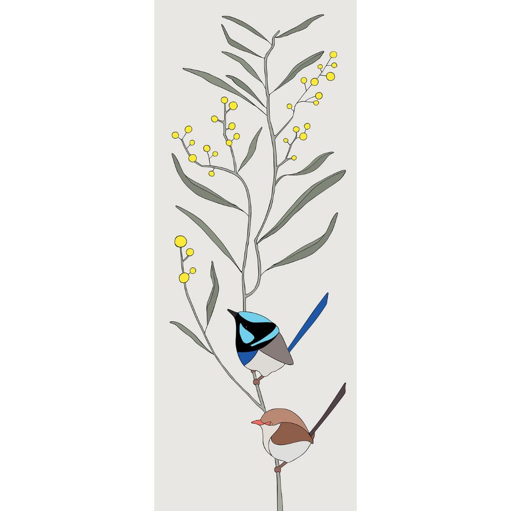 Collections - Meet Gather Collect