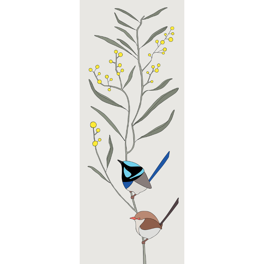 Collections - Meet Gather Collect