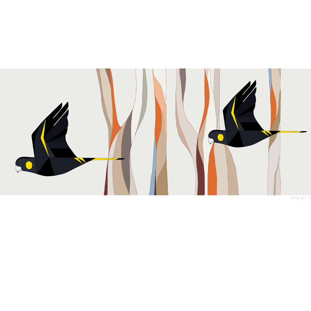 Collections - Meet Gather Collect