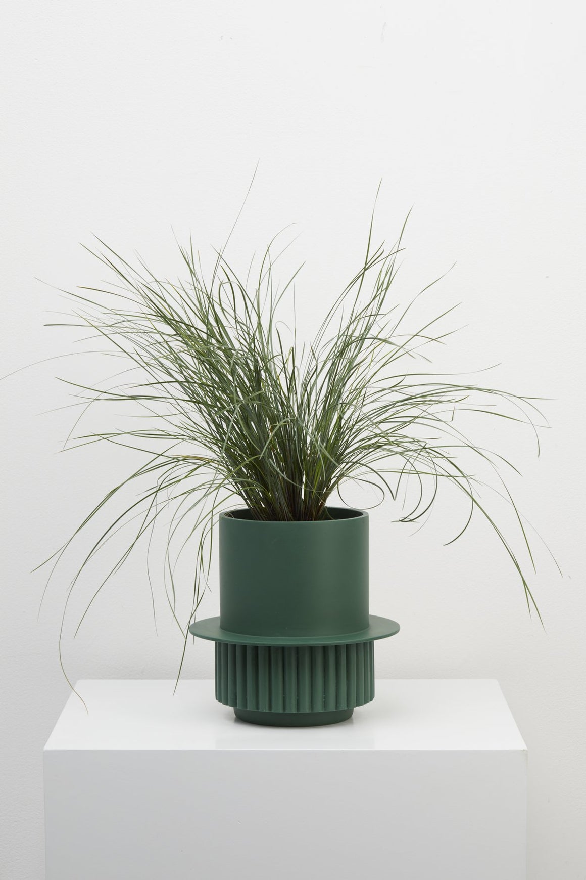 Collections - Meet Gather Collect